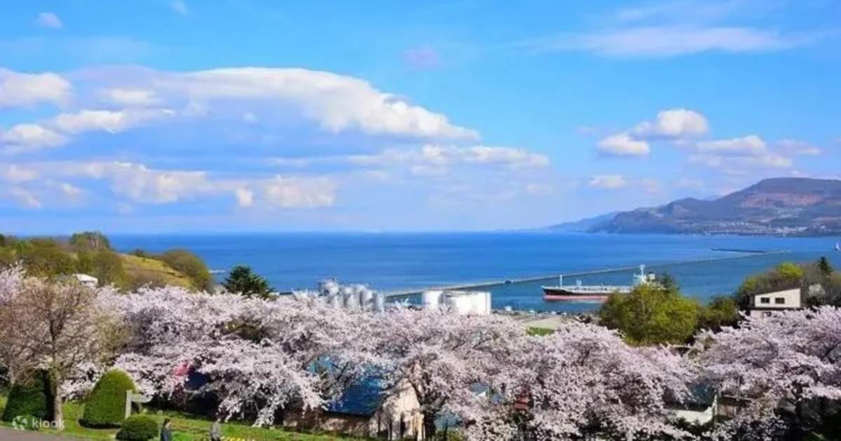 삿포로 출발 오타루 운하 And 텐구산 로프웨이 And 가무이 곶 And 시로이 고이비토 공장 일일 투어 클룩 Klook 한국